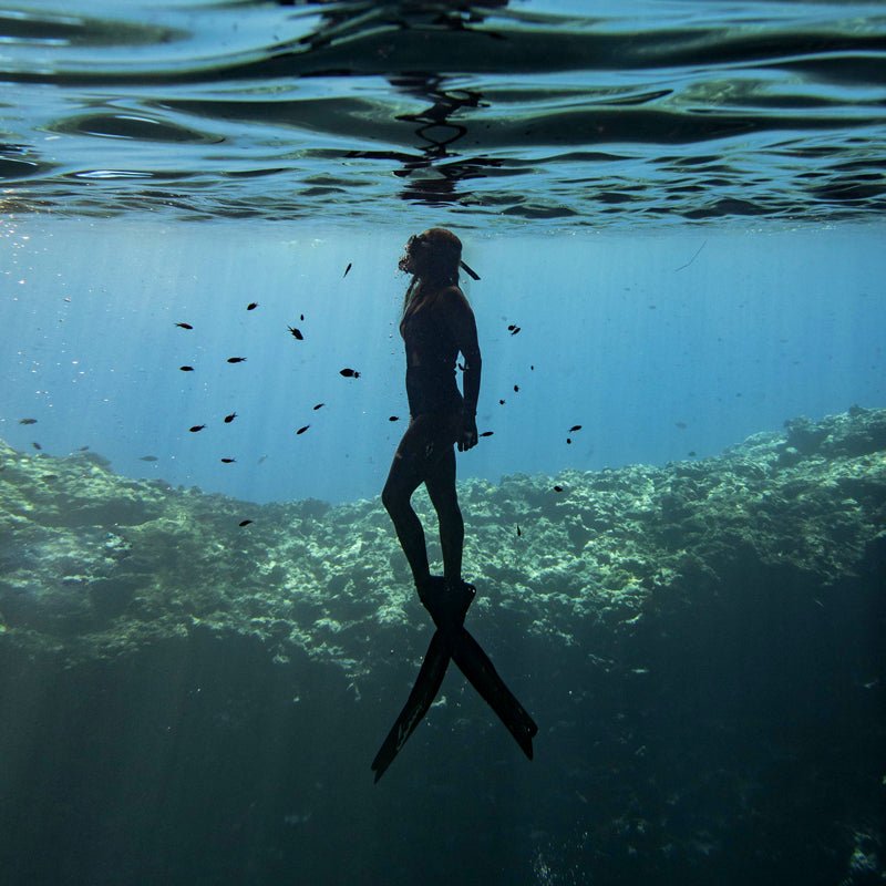 Alice Forrest – TWOTHIRDS