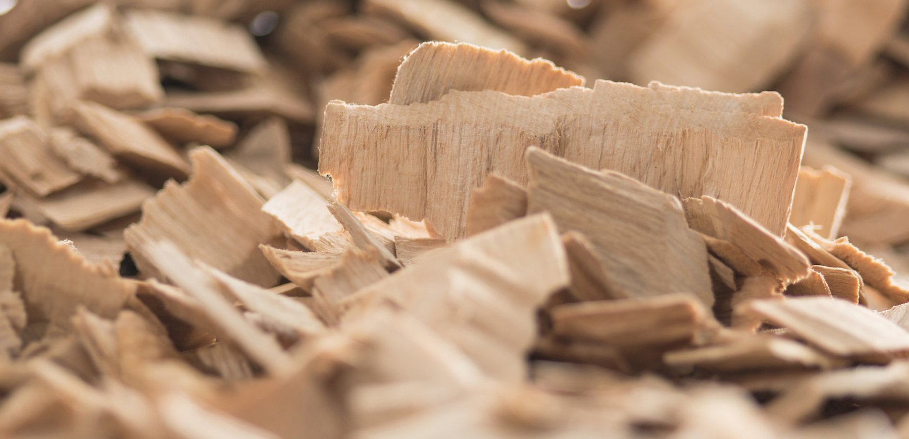 Why We Love TENCEL™: A Completely Natural Choice – TWOTHIRDS